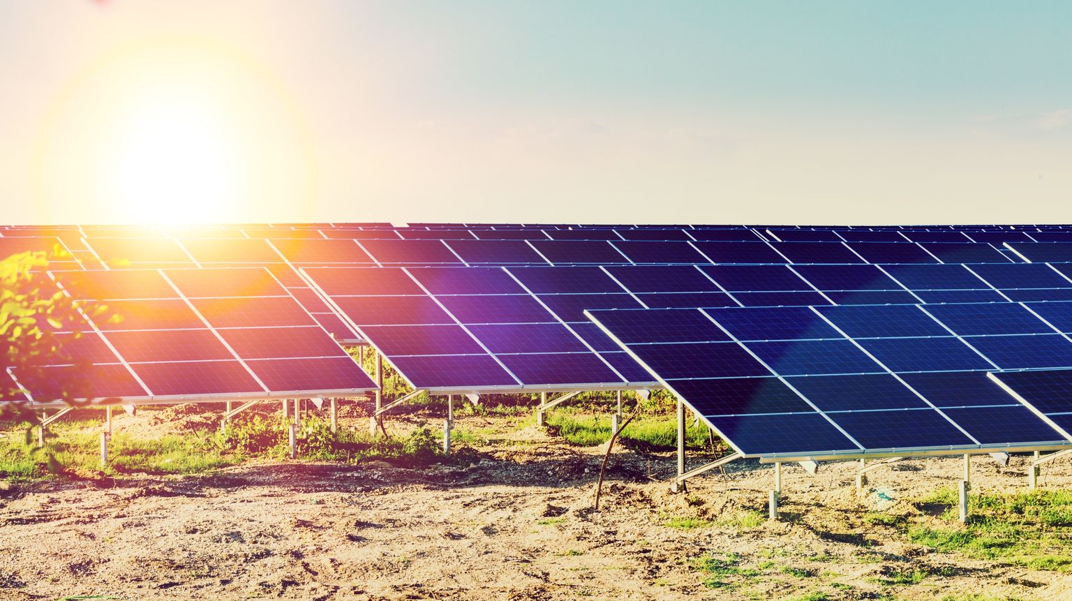 Rīgas osta Spilves pļavās plāno veidot saules enerģijas parku