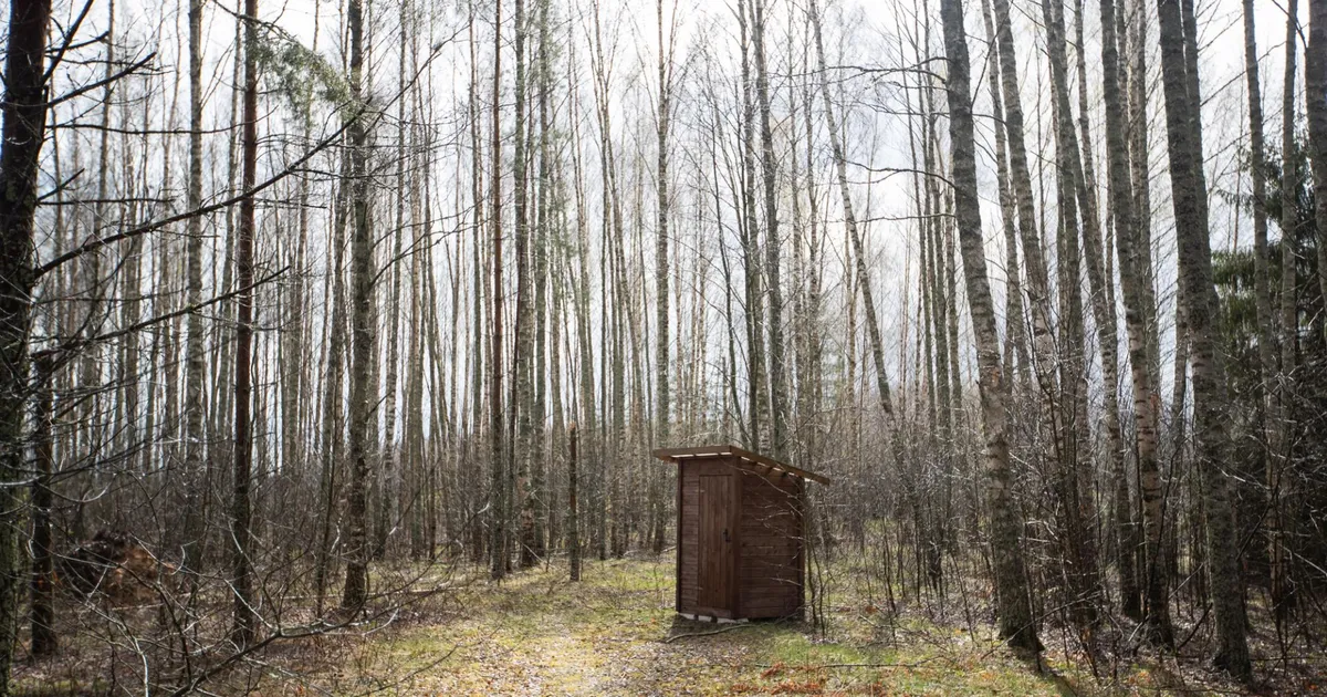 Kaka ruttu, karu tuleb! Kuidas metsas number kahel käia?