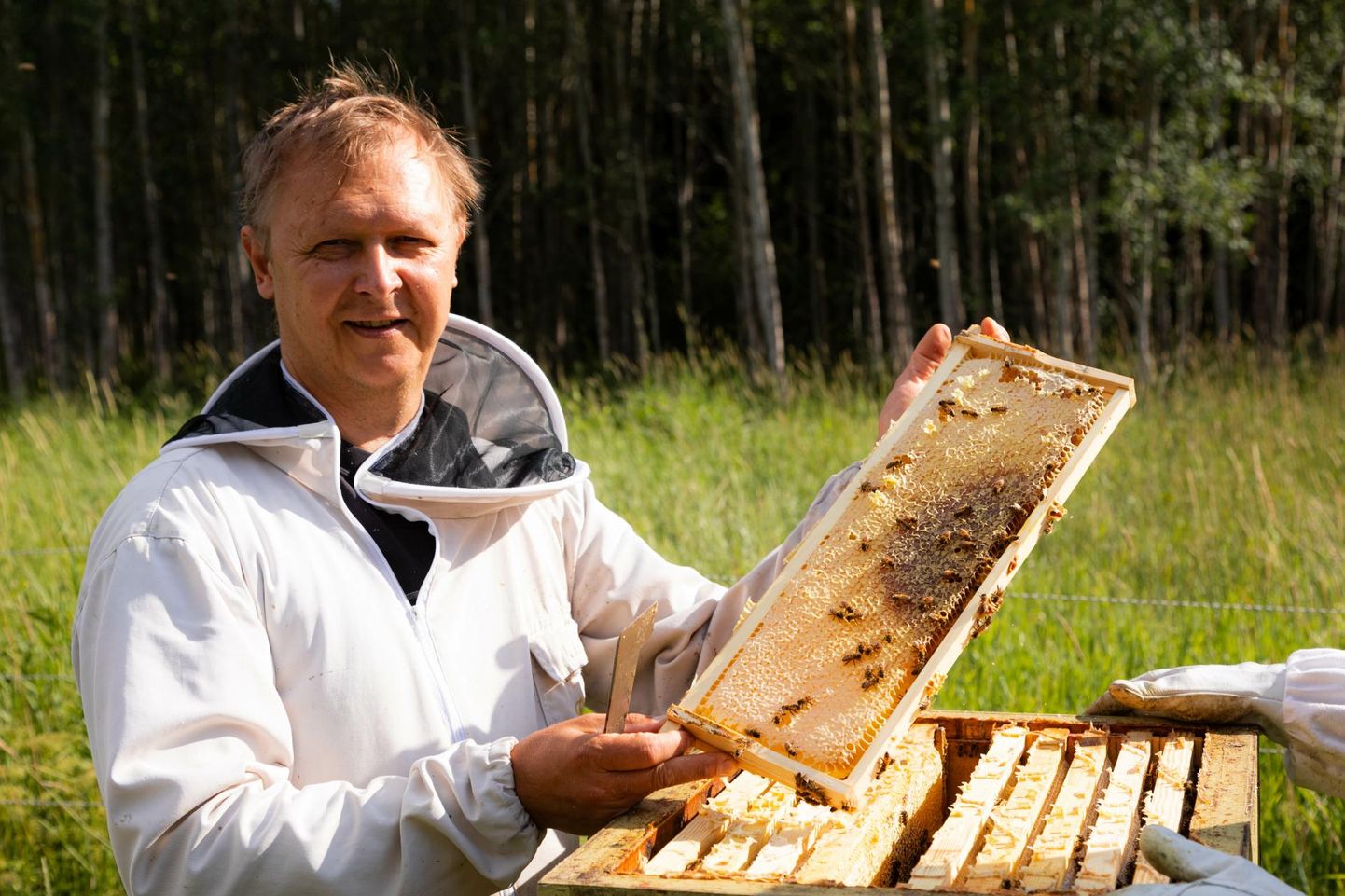 Mee ülejääk sunnib otsima võltshinnaga välisturge