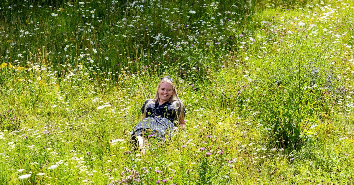 Mirjam Võsaste: muru ei kasva puukide, vaid inimeste jaoks