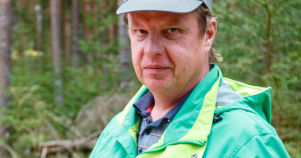 Risto Sepp: miks viiakse prügi metsa?