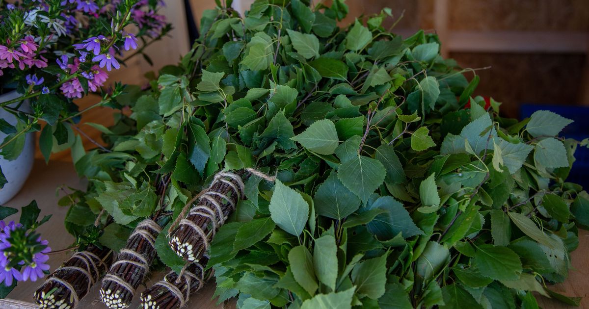 Sügavkülma pandud kaseviht pakub talvel suviseid emotsioone