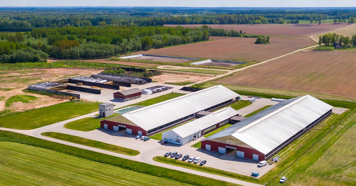 Hummuli Agro: „Meie edulugu põhineb töötajatel!“