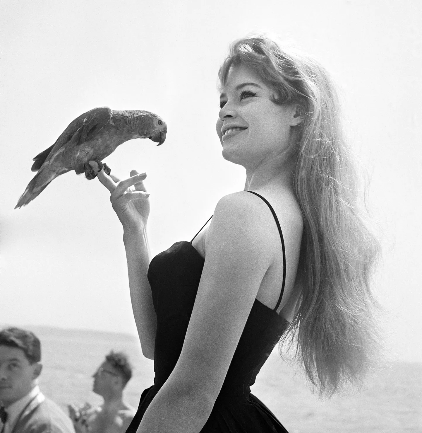 KAASA ARVATUD BRIGITTE BARDOT Oscarite jagamise mälestusosas jäeti ...
