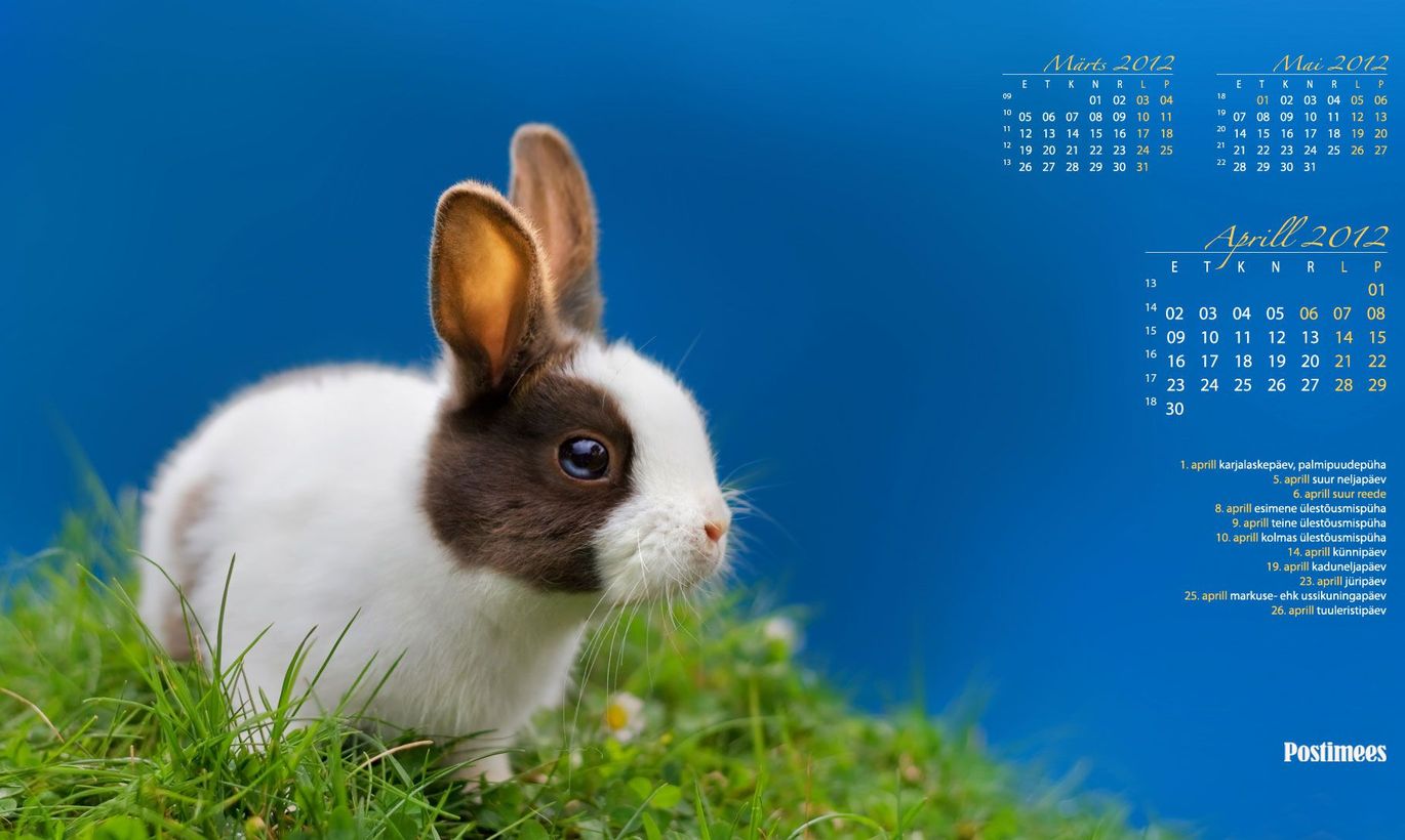 Aprilli kalender - Postimees: Värsked uudised Eestist ja välismaalt