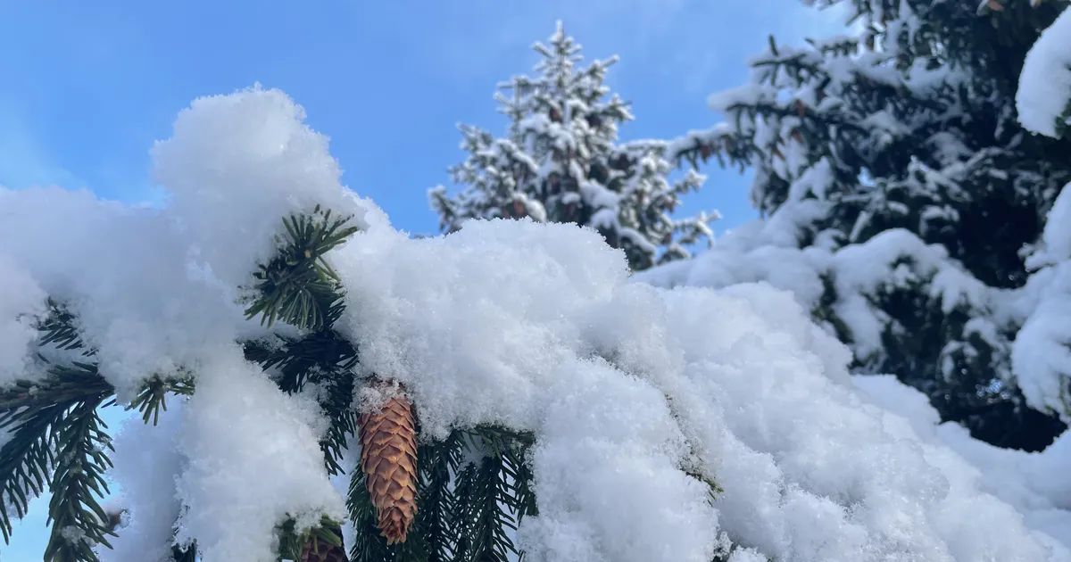 PISUT LUND JA MIINUSKRAADE Laupäeval tuleb saartel kena talveilm