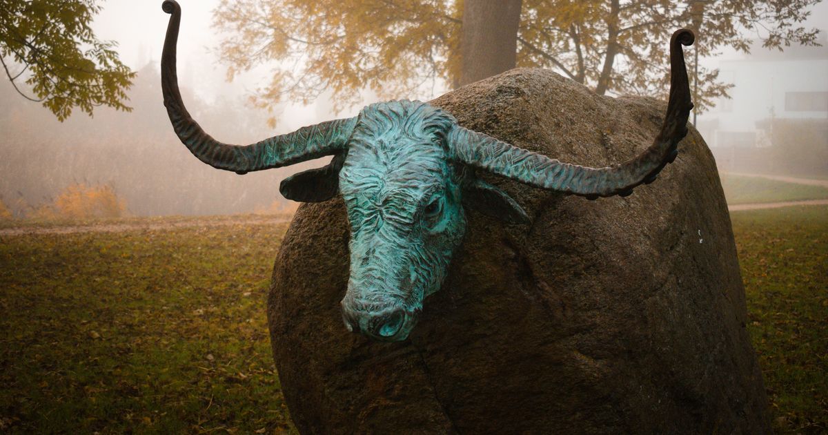 FOTO Zelta rudens nav tikai Siguldā! Krāšņs rudens rīts Ventspilī ...