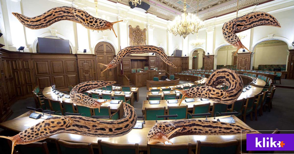 Saeimas nama grūtgalvji, gliemji un gnīdas