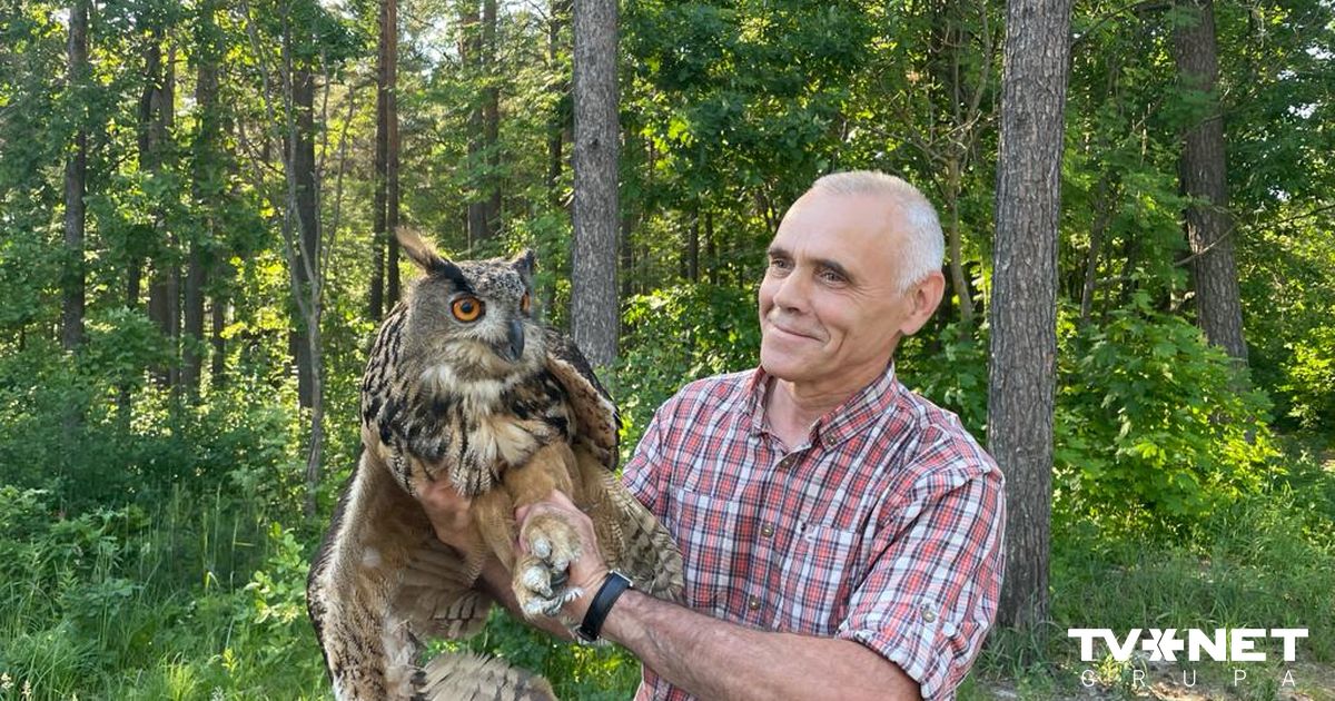 "Ērgļi Latvijā neizzudīs." Latvijas ērgļu pētnieks Uģis Bergmanis, kurš ...