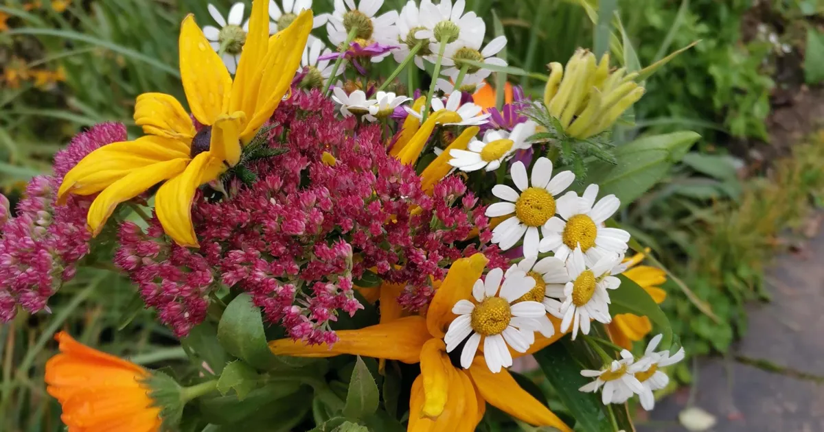 Olulisemad tähtpäevad Põlvamaal juunis