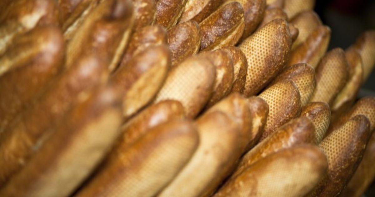 Raugs- nāvējošs ierocis? - Apollo.lv - Horoskopi - Brīvbrīdis - Apollo.lv