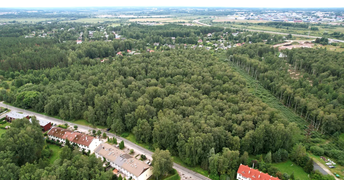 Ihaste inimesed kohtuvad linnapeakandidaatidega