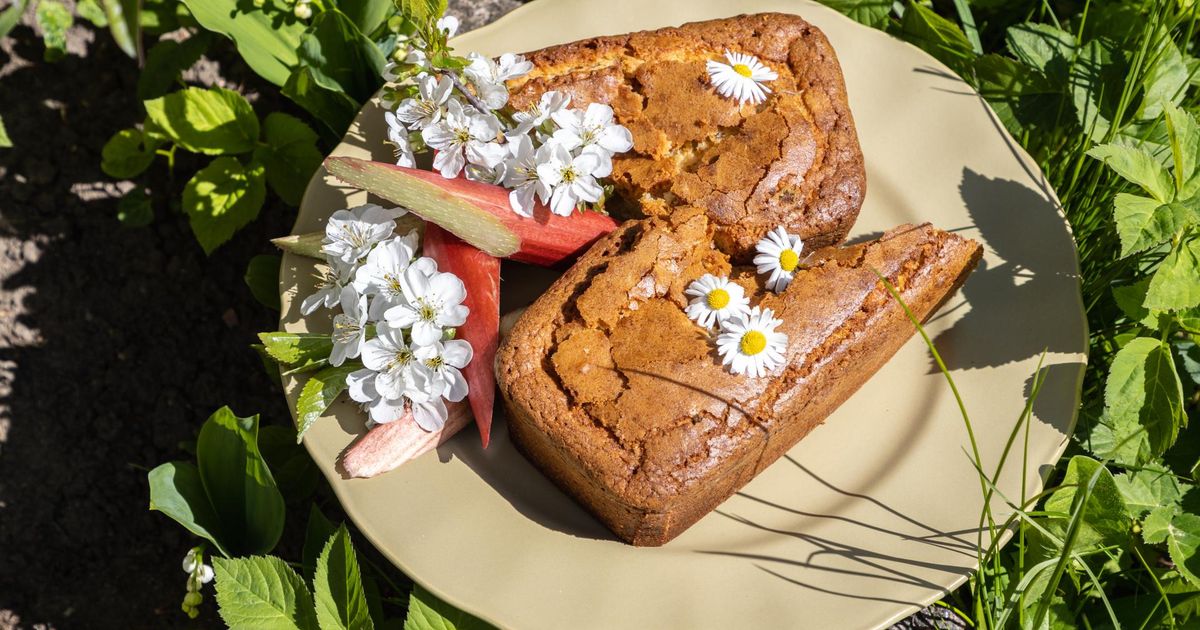 NÄDALA RETSEPTID Rabarberist saab keeksi, võikumoosi, mullijooki