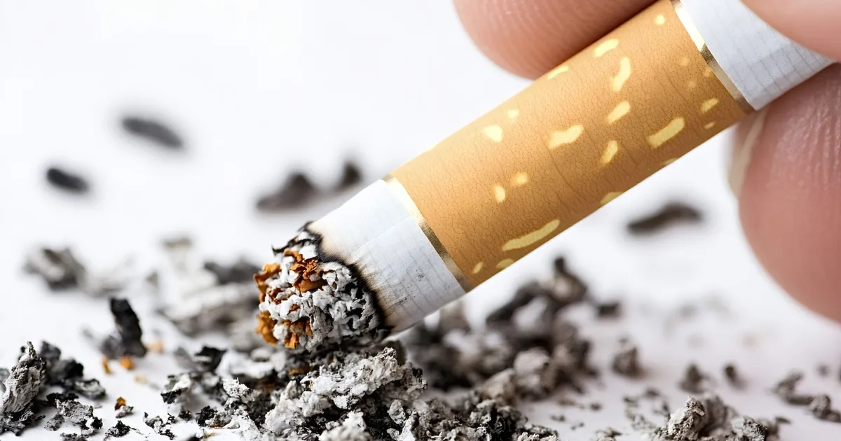 marget raukas - Postimees: Värsked uudised Eestist ja välismaalt