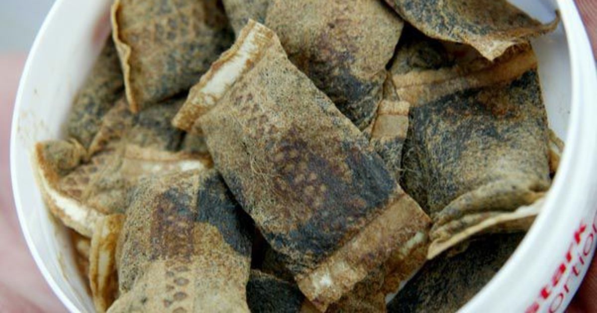 Mokatubakas jätkab koolides võidukäiku