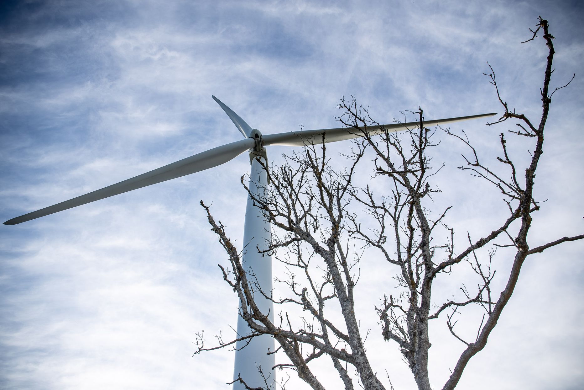 Parem miljarditrahv kui tuulepargiehitus: tootja põgenes USAst