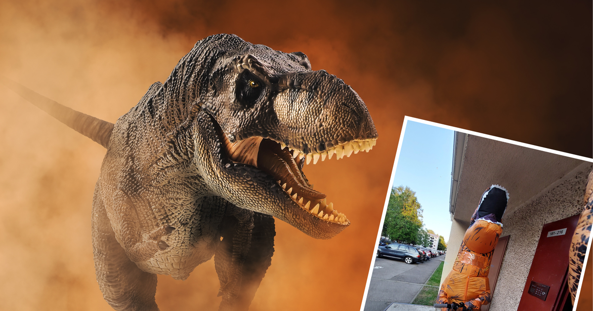 NALJAKAS VIDEO «Ettevaatust! Mustamäel liiguvad dinosaurused!»