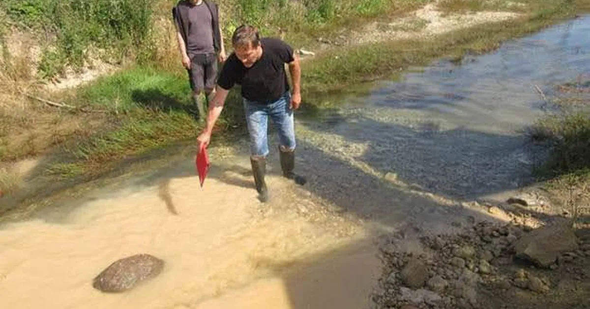 Purtse jõestiku kaladele tehti mugavamad kudemiskohad