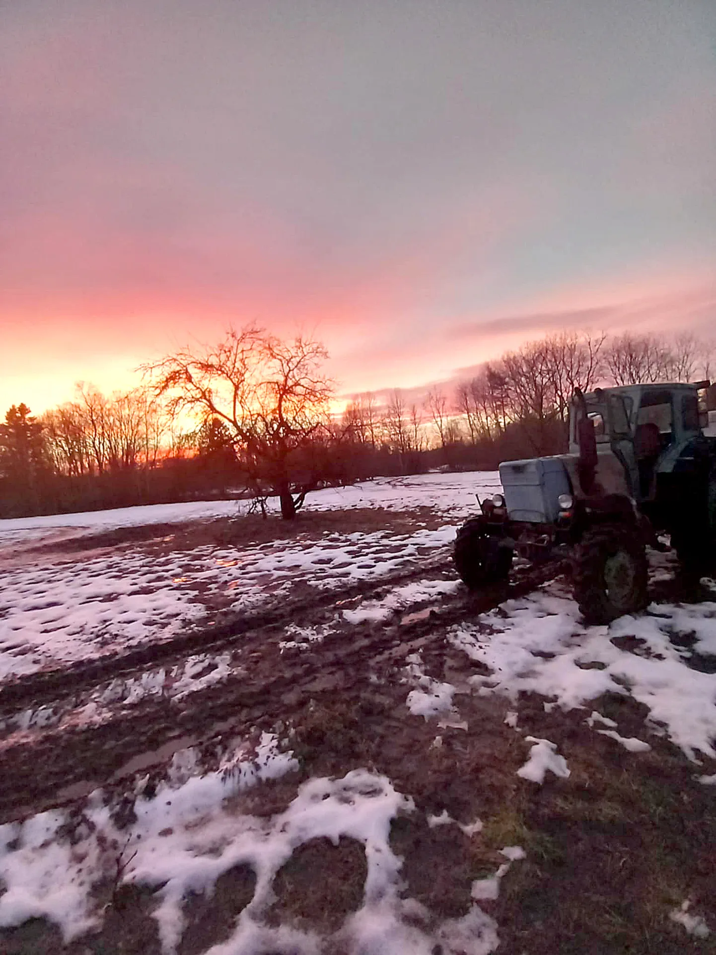 PÄEVAPILT Kevade ootuses