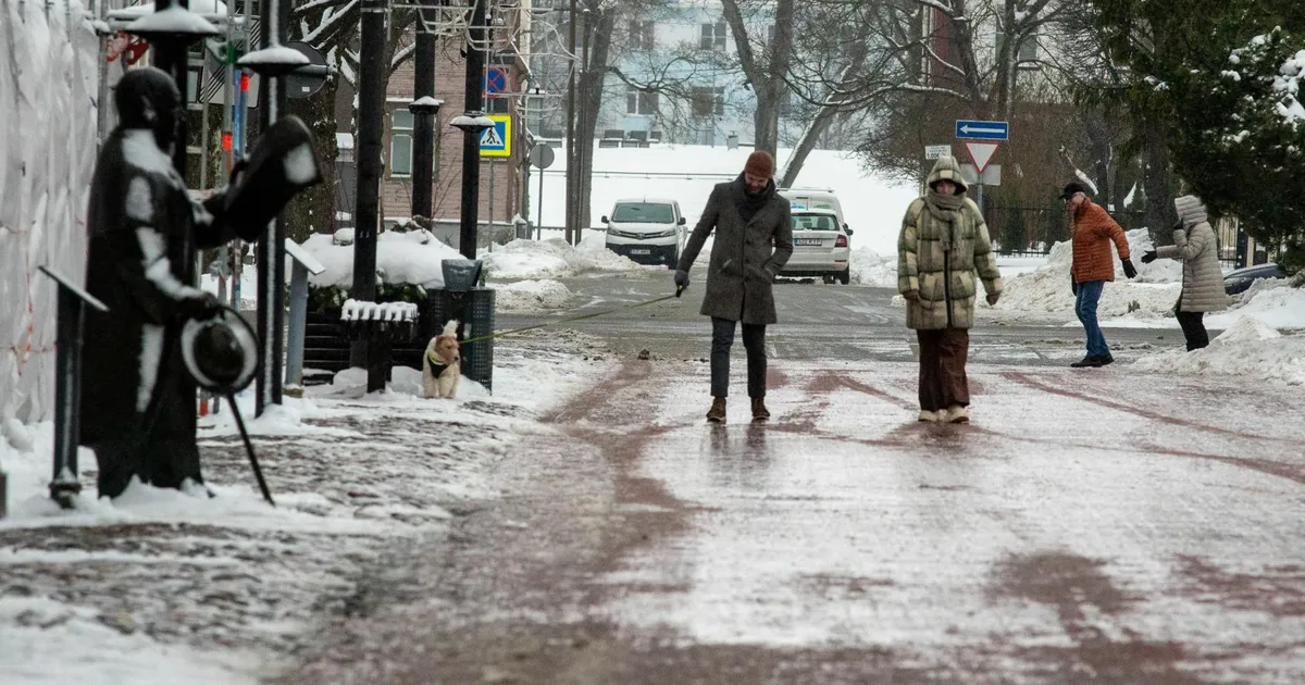 Kuidas ja kust saab tasuta graniitsõelmeid?