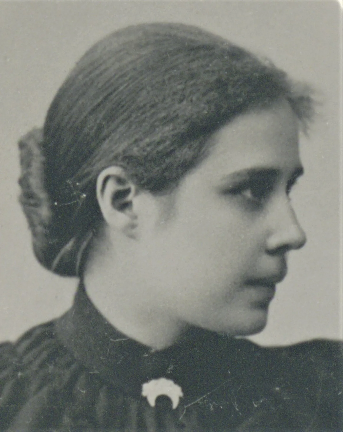 Anna Haava sõprade selts üritab püstitada luuletaja sünnikohas elumaja