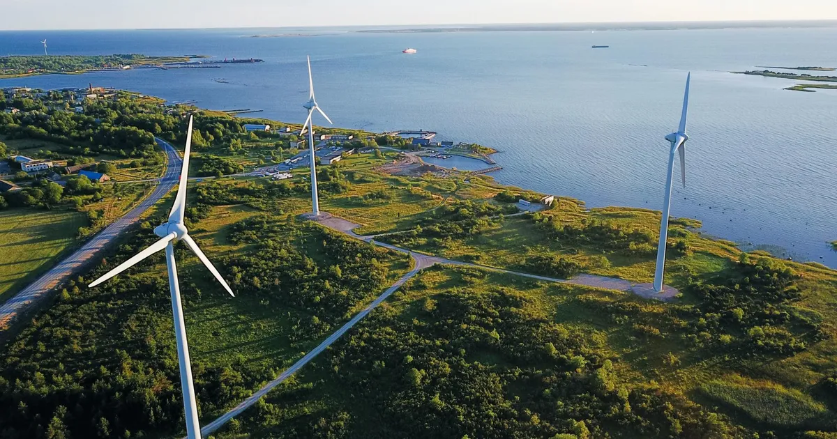 ANDRÉ KÜÜSVEK JA WERNER HOYER Venemaa invasioon näitab, kui tähtis on ...