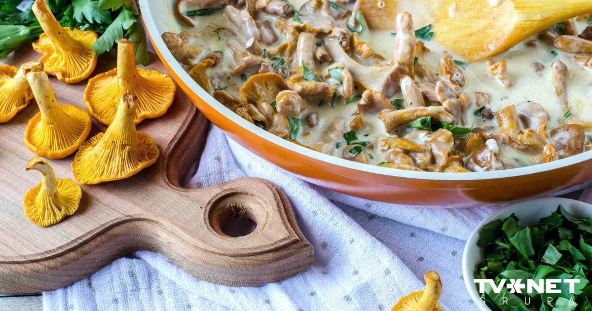 6 kļūdas, ko bieži pieļaujam, gatavojot gailenes: kā no tām izvairīties