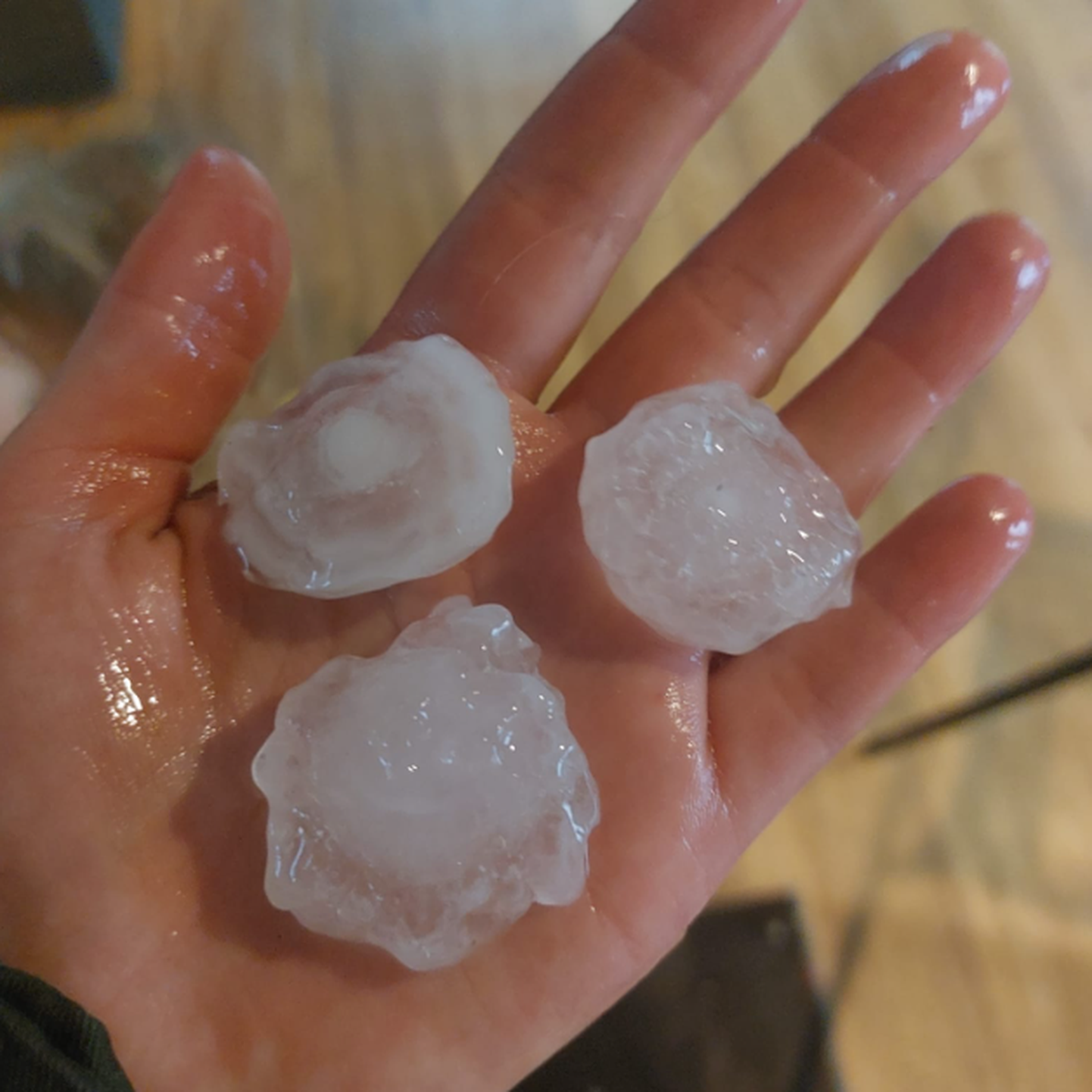 FOTO UN VIDEO Jelgavas novadā nokrituši krusas graudi vairāku ...