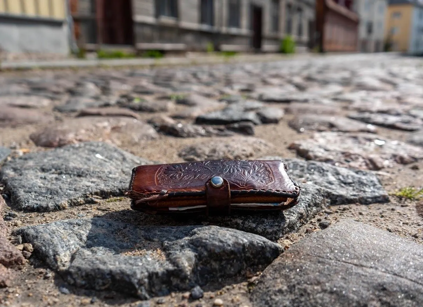 Hobune, ehitusplaanid ja kompass – kaotatud esemete kirju paraad