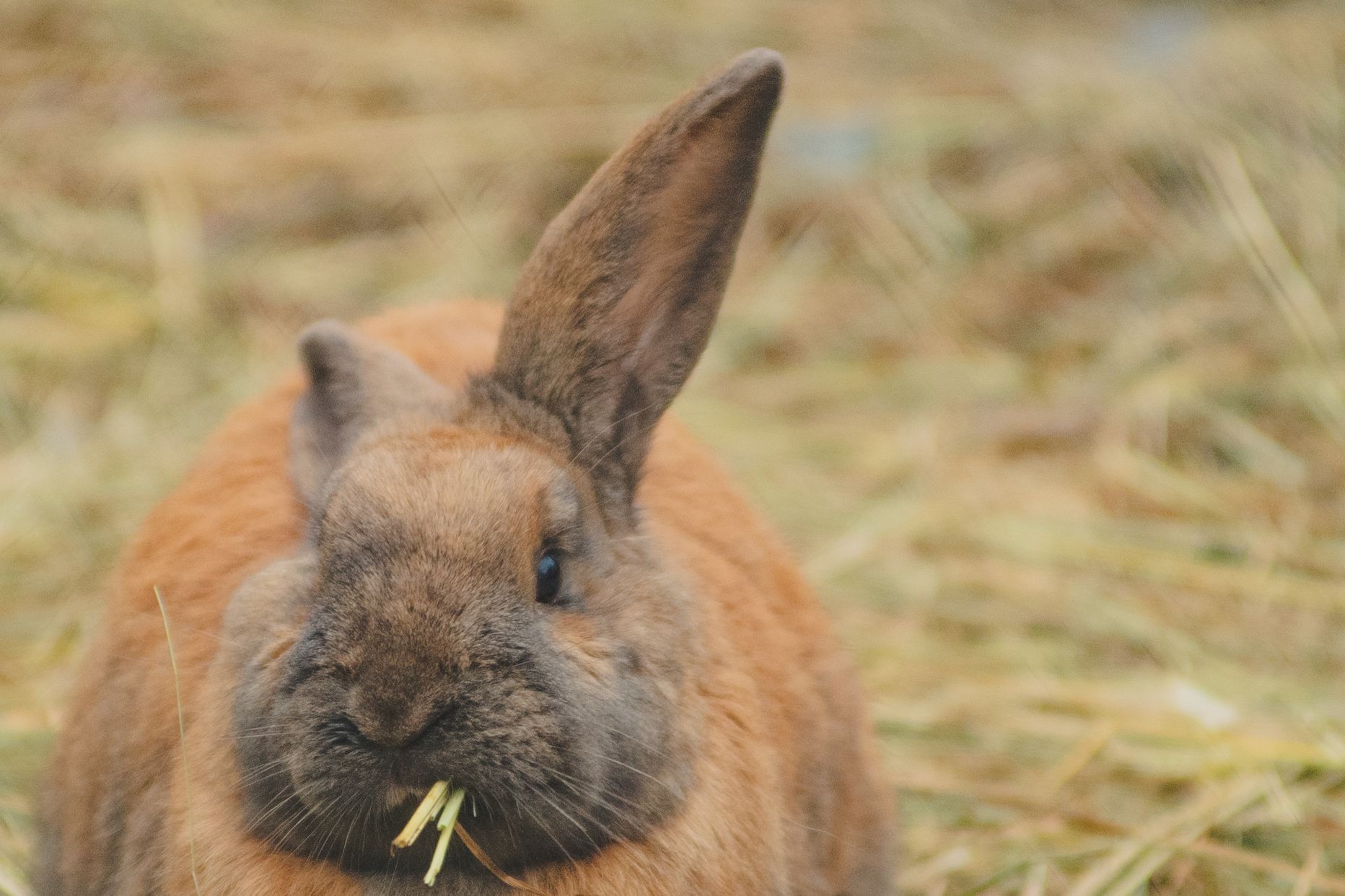 Ceturtdienas horoskops: 7. septembris