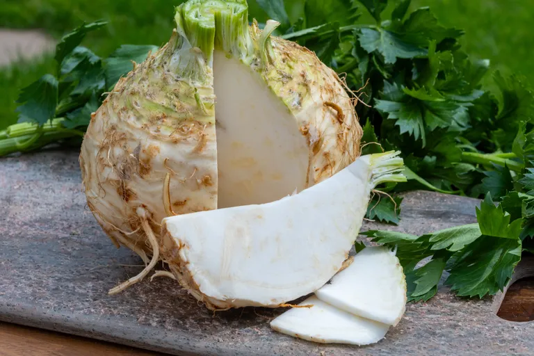 Sakne, kuru Gordons Remzijs atzīst par kulinārijā nenovērtētu