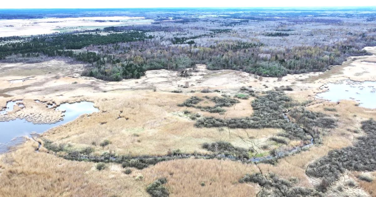 Koprad panid Kurgu kraavi kinni