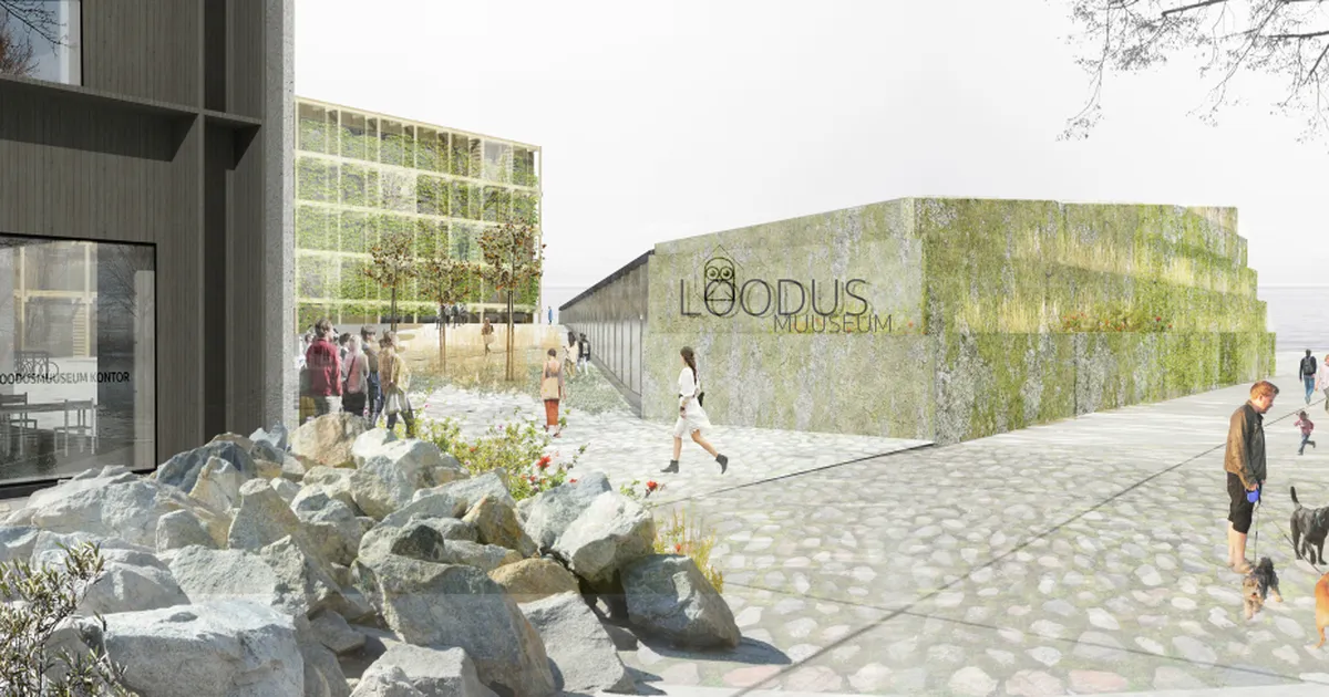 Eesti puidust loodusmaja maa-alune osa hakkab ilmet võtma