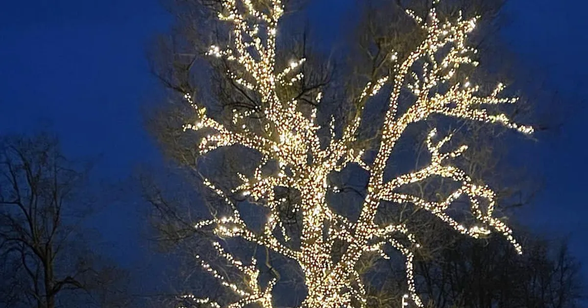 JÕULUTULED APRILLIKUUS Valga linna tuledes puu tekitab vastakaid ...