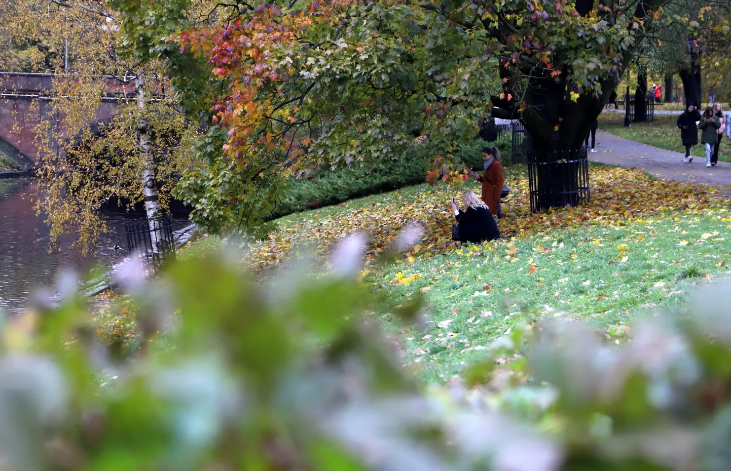 ГЛАВНОЕ ЗА 13 НОЯБРЯ Латвийцы планировали похитить человека, где можно ...