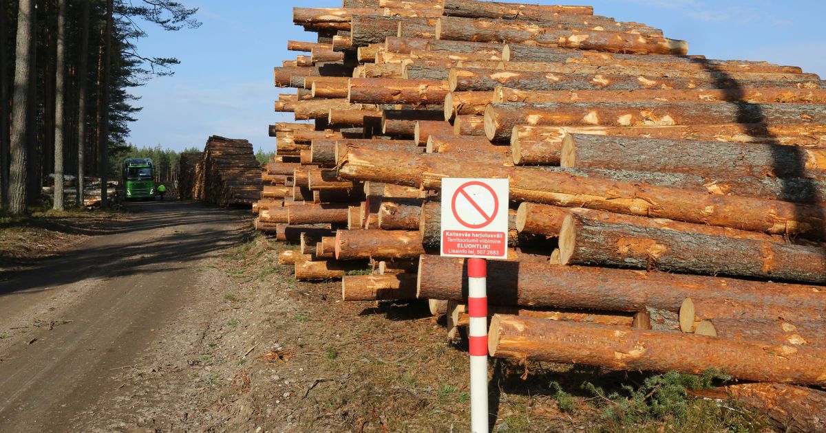 NURSIPALU Juba küla metsad anti üle kaitseministeeriumile