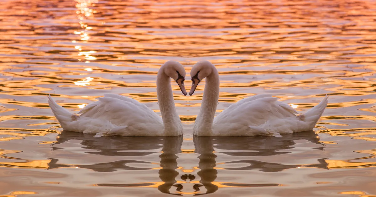 KELLEL VEAB? Nende kolme sodiaagimärgi armuelu saab nüüd tuule tiibadesse