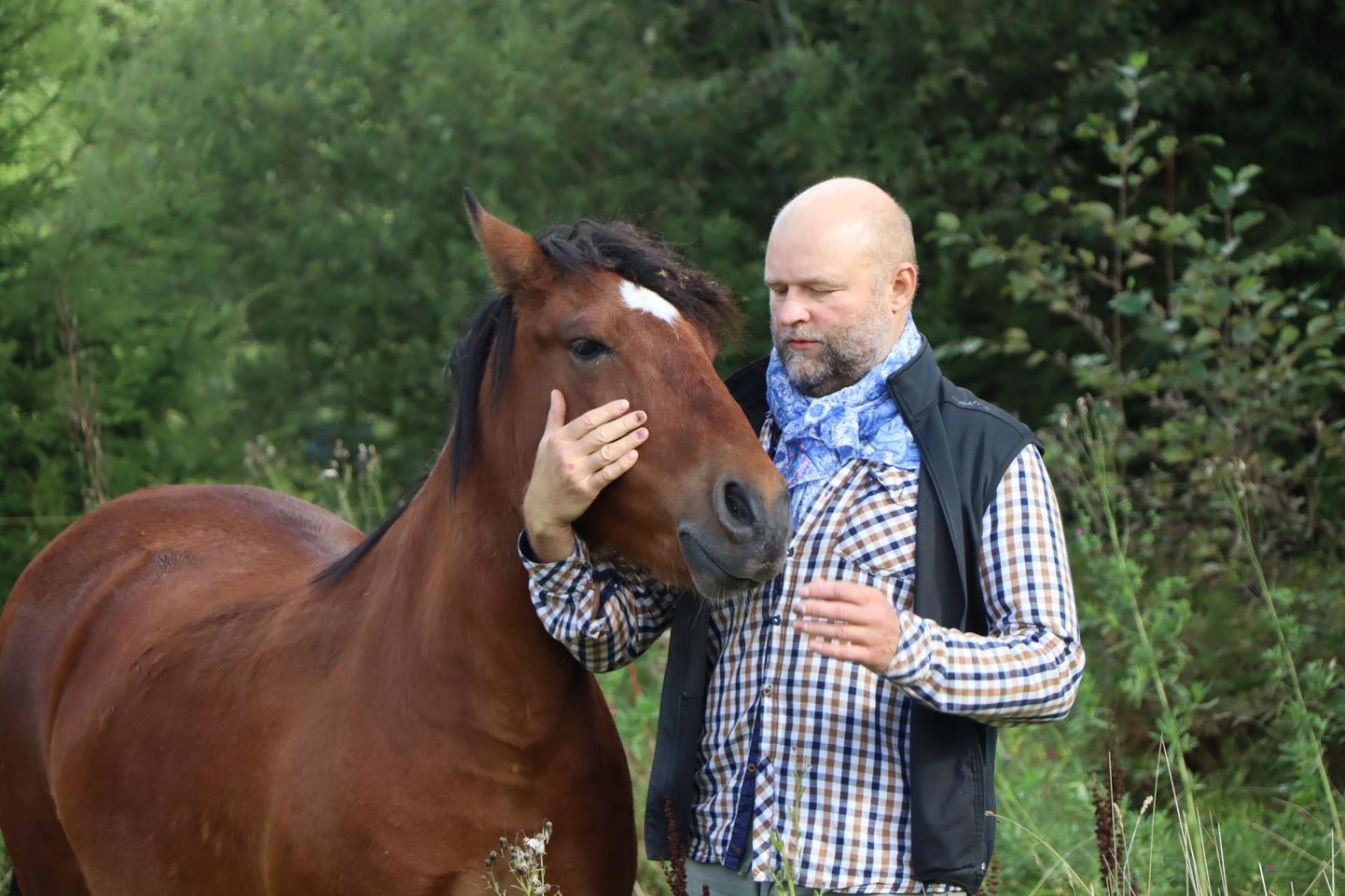 Hobune teeb väiketalus paljud tööd ära