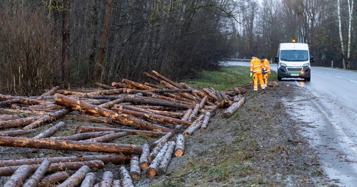 FOTOD Raudna lähedal ümber läinud palgiveoki koorem paiskus suurele ...