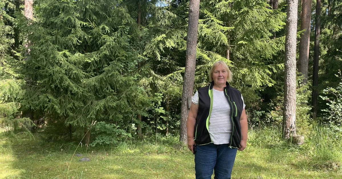 Parim metsamajandaja tunneb iga sentimeetrit oma metsas