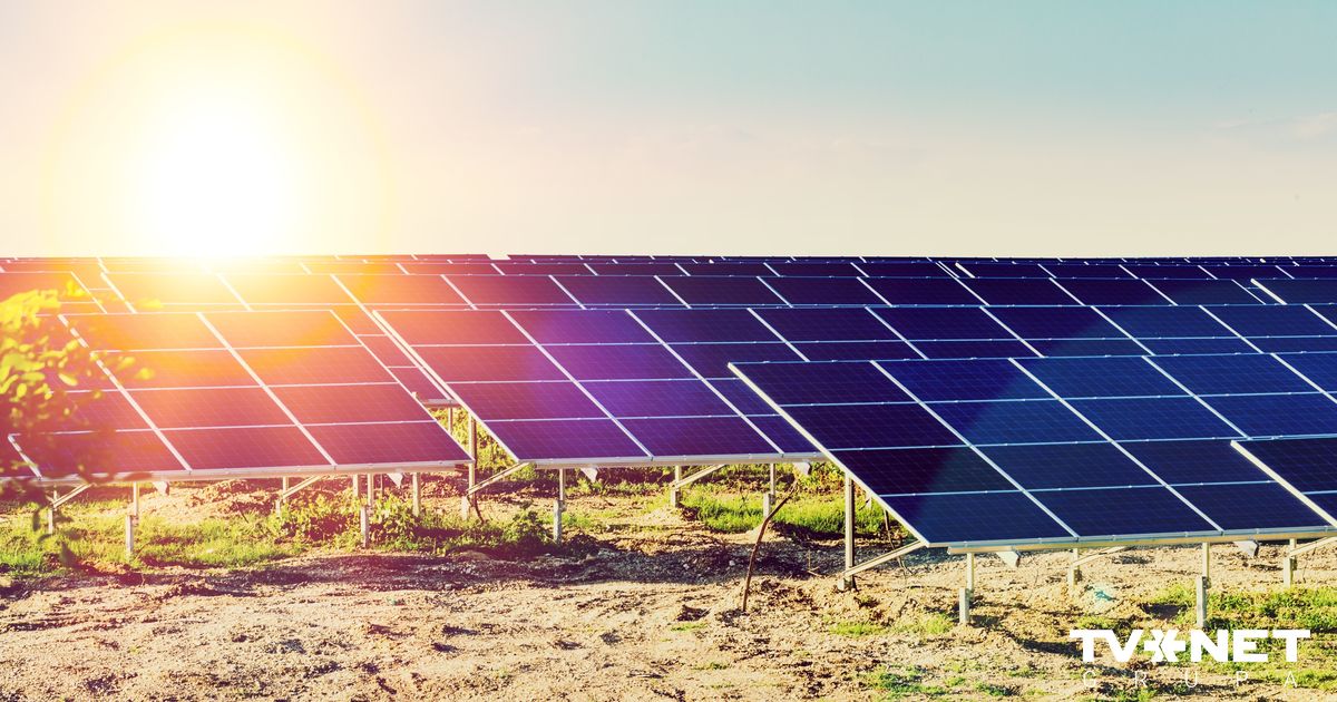 Rīgas osta Spilves pļavās plāno veidot saules enerģijas parku