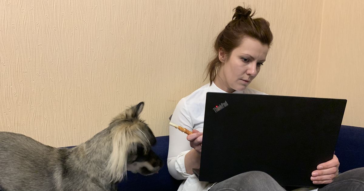 "Apollo.lv" strādā mājās. Galvenā redaktore Kristīne Kravale ...