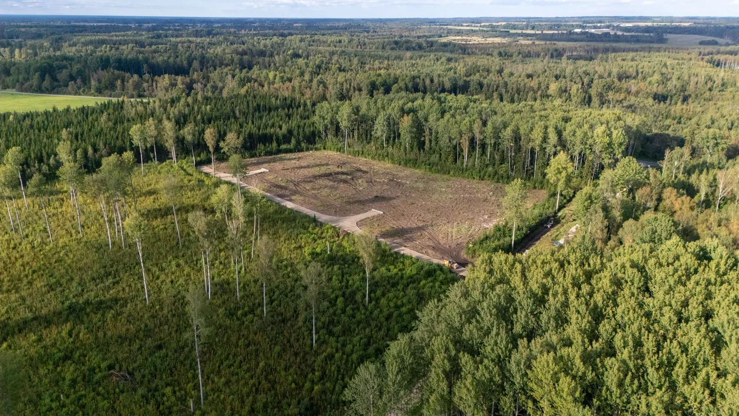 Riigiameti vastus võimaliku seakalmistu naabritele: kui tekib reostus ...