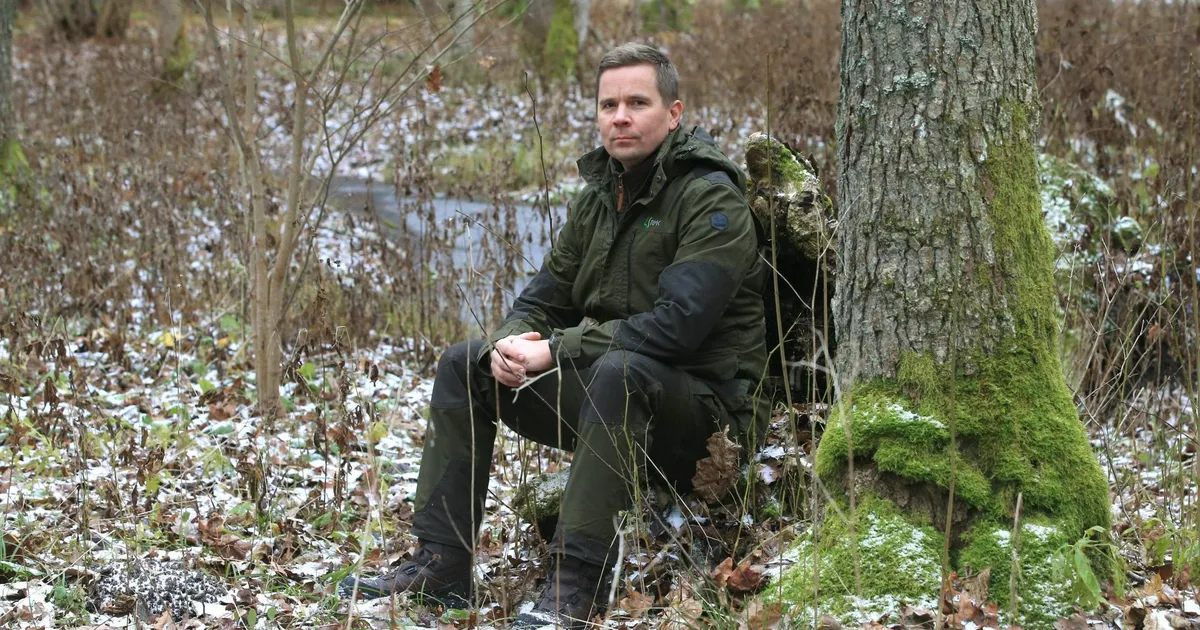 MAREK STRANDBERG Luuretipp metsa peremehena – kes on aga tema peremees?