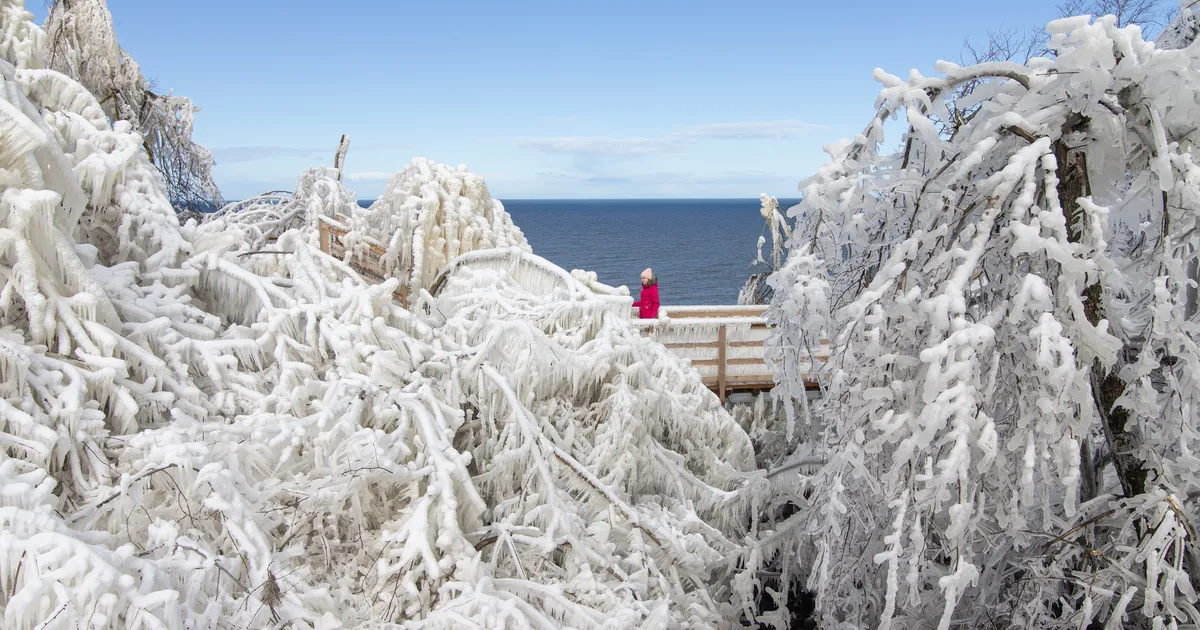 PÄEVA PILT Valastel on jälle ilus