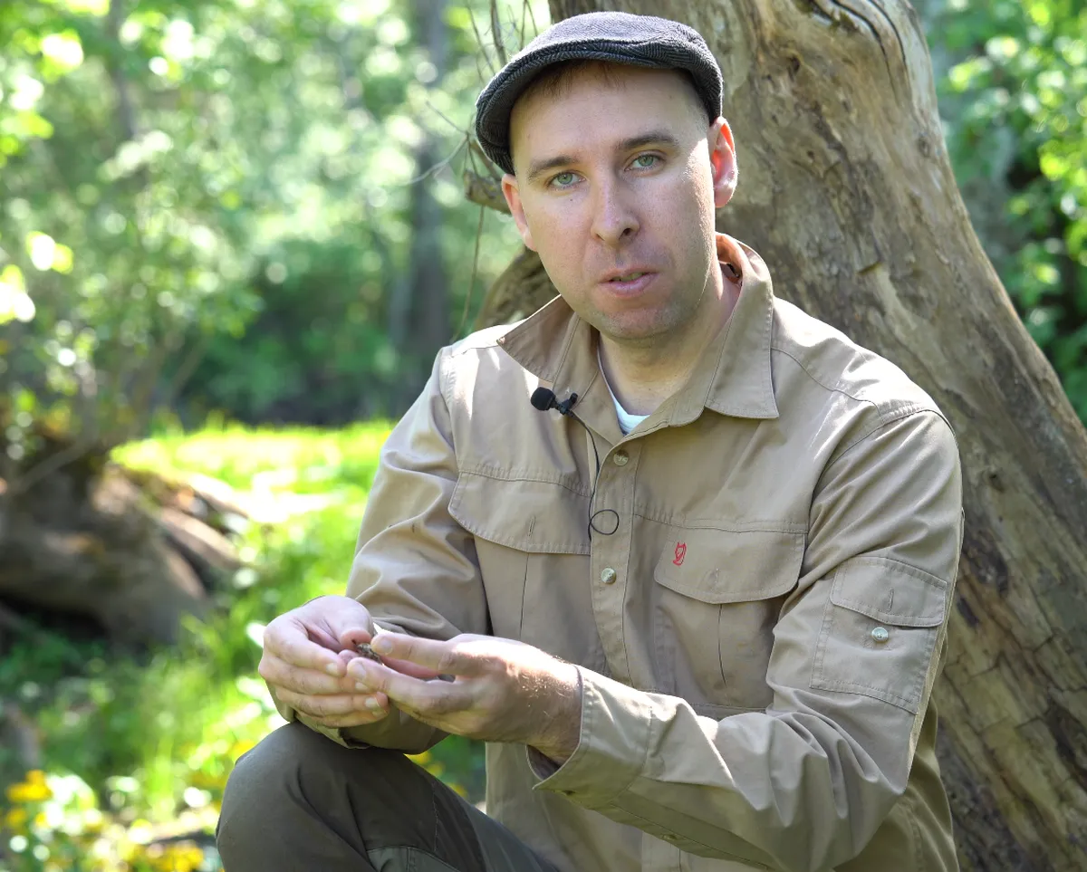 FOTOD Eesti zooloogi kaamera ette jäi üliharuldane loom: see on ...