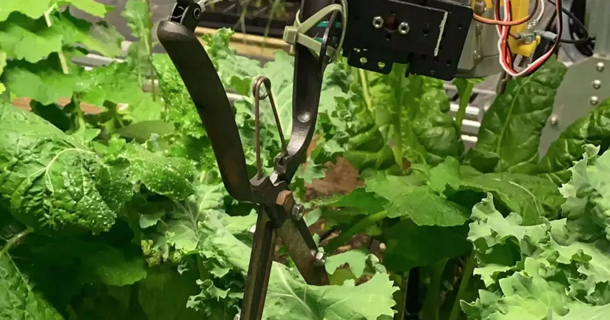 Robot-aednik hoolitses taimede eest paremini kui inimene ja läbis ...