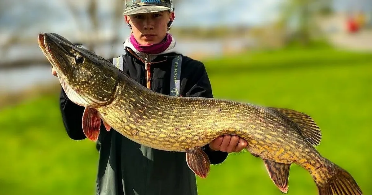 PILDID Noor kalamees sikutas haugihooaja avapäeval veest välja ...