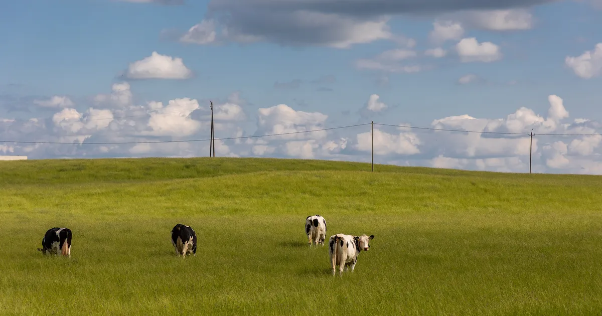 Reedel tuleb kuni 18 kraadi sooja