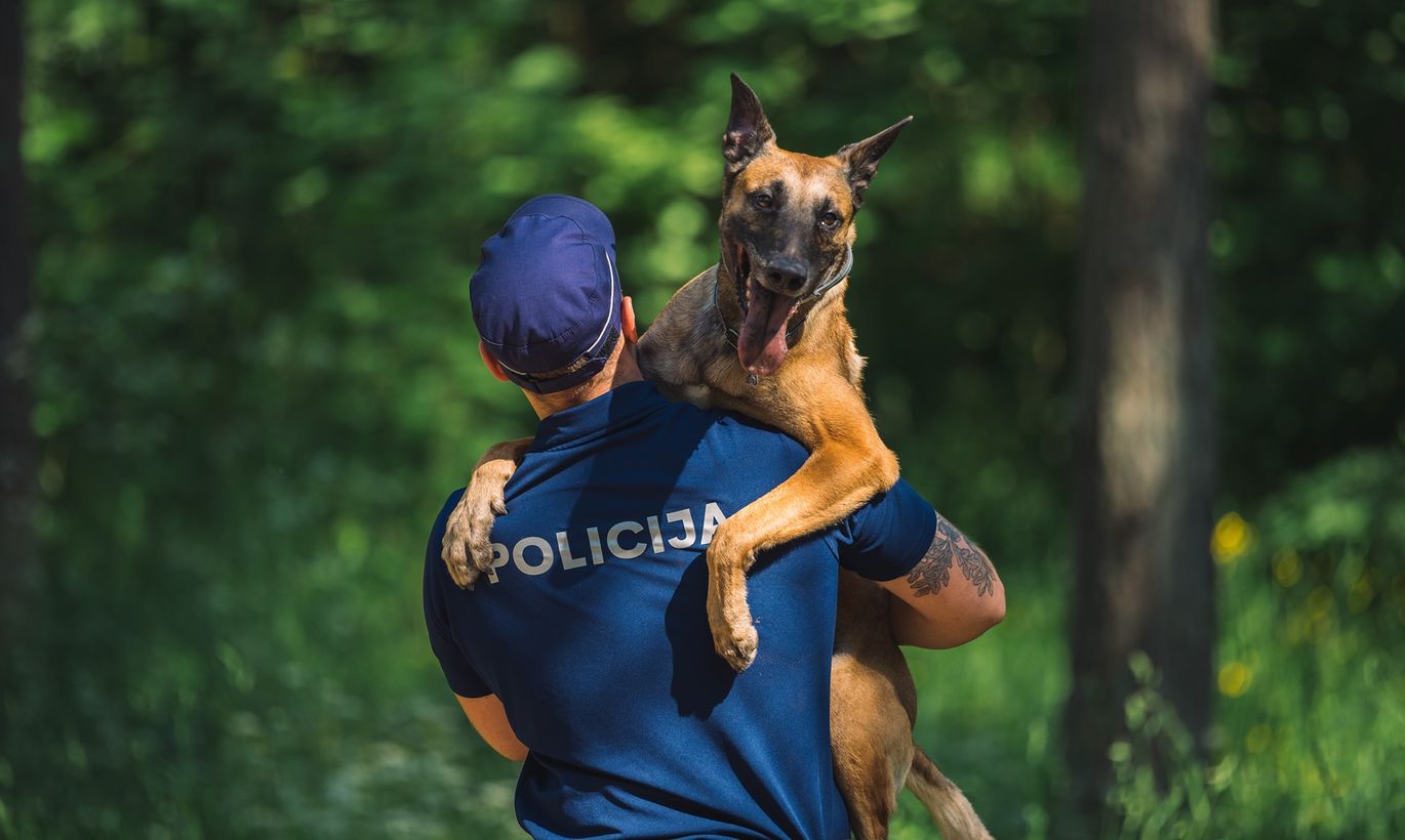 Kinologs ar dienesta suni Narko mežā atrod bezvēsts prombūtnē esošu ...